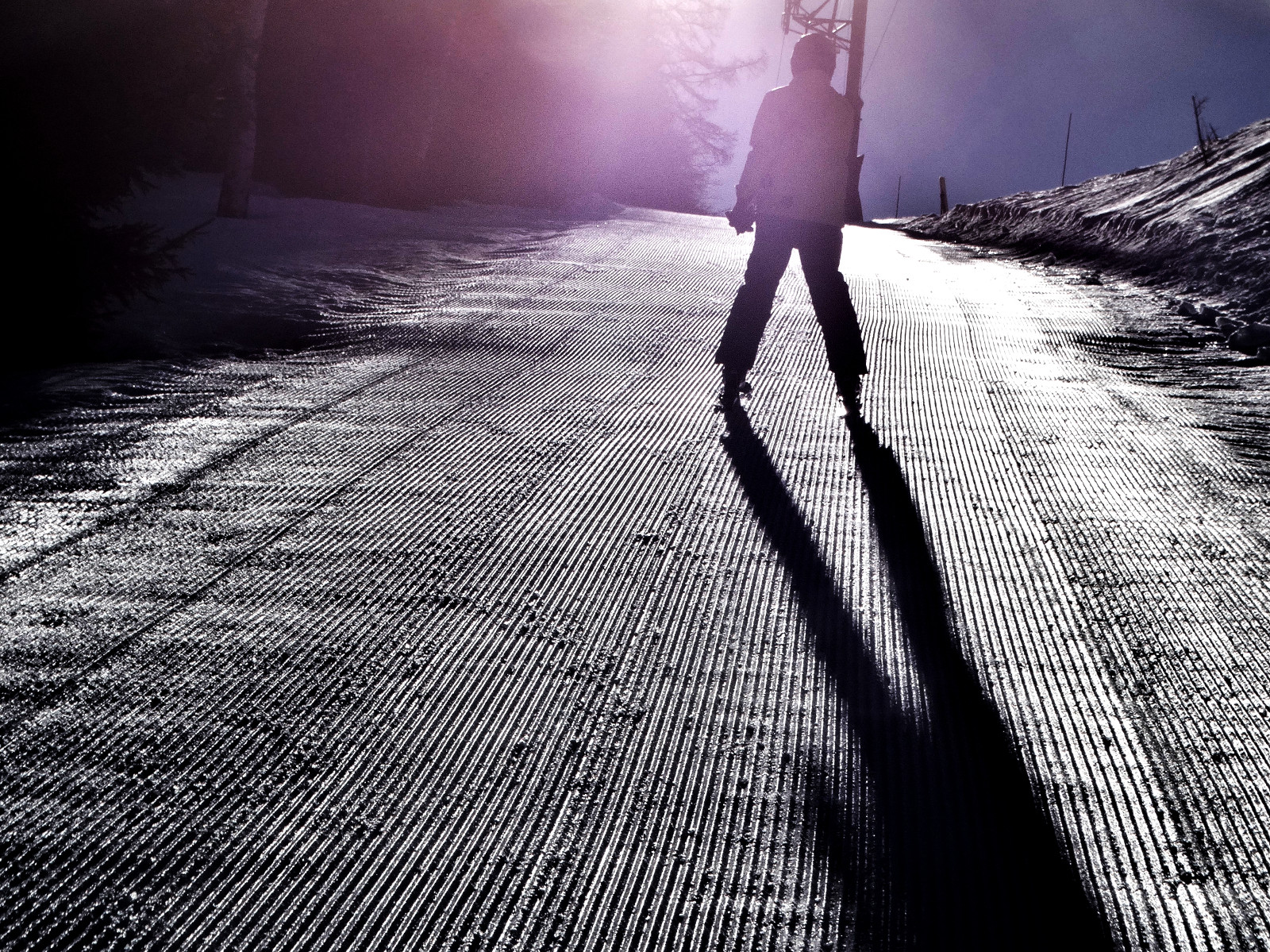 Cee’s fun photo challenge, Shadows – Lisa Bradshaw Blog